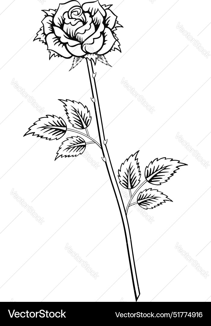 Classic rose tattoo with stem outline Royalty Free Vector