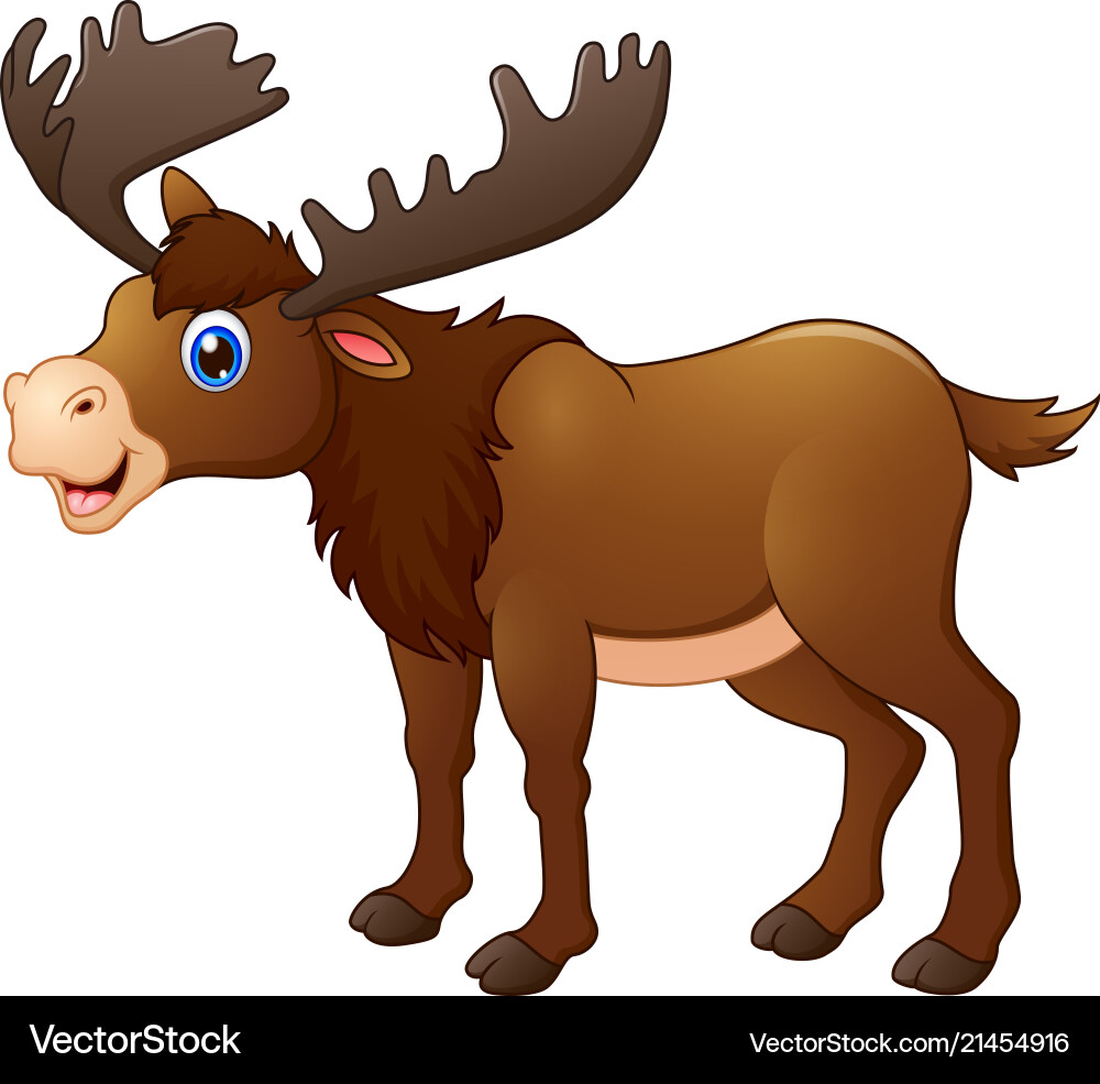 Cute moose cartoon Royalty Free Vector Image - VectorStock