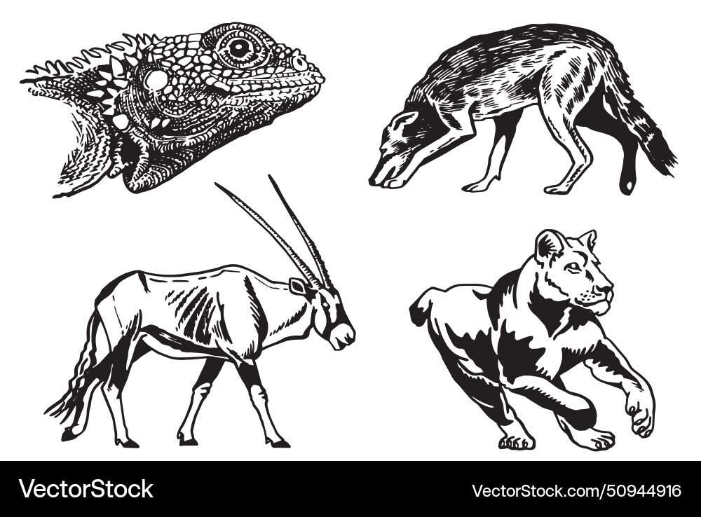 Graphical set of animals on white background Vector Image