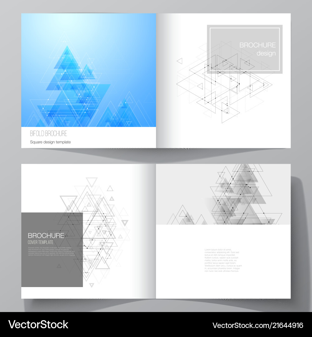 Layout of two covers Royalty Free Vector Image