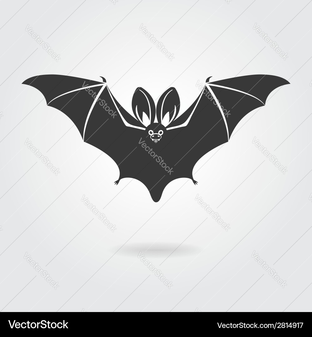 Bat Royalty Free Vector Image - VectorStock