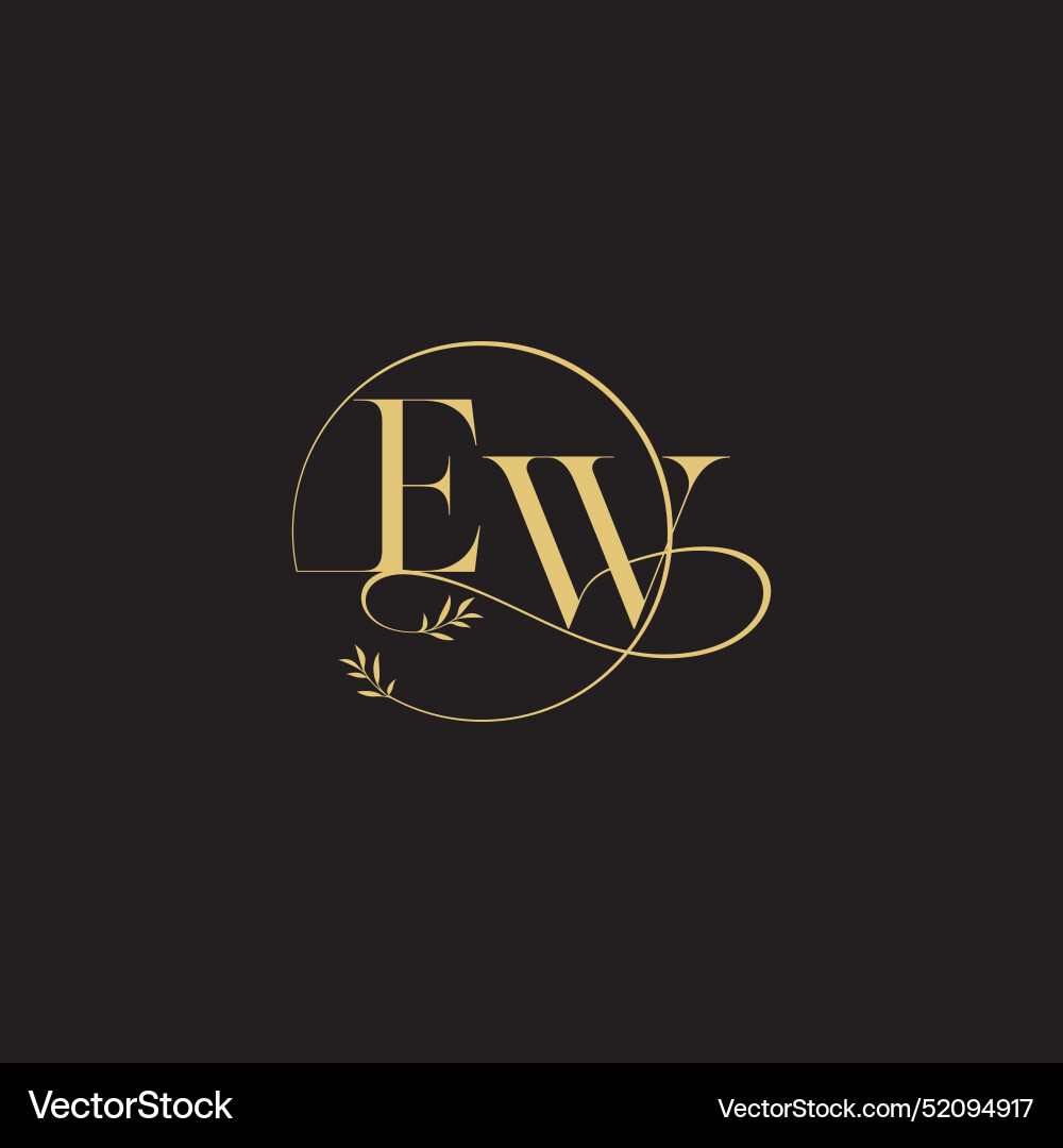 Luxury concept ew circle and organic style Vector Image
