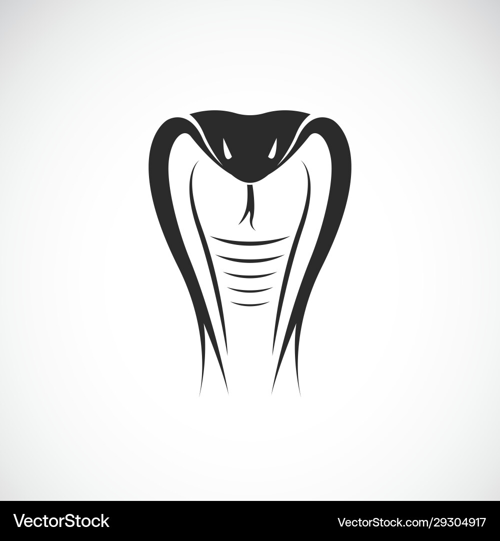 Snake head design on white background animals Vector Image