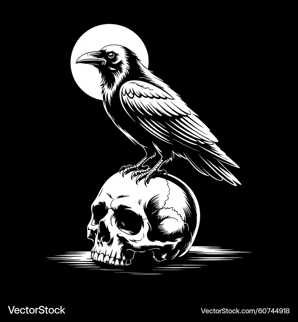 White Raven Skull Moon Royalty Free Vector Image