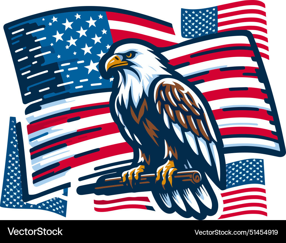 American eagle design with bald eagle like that Vector Image