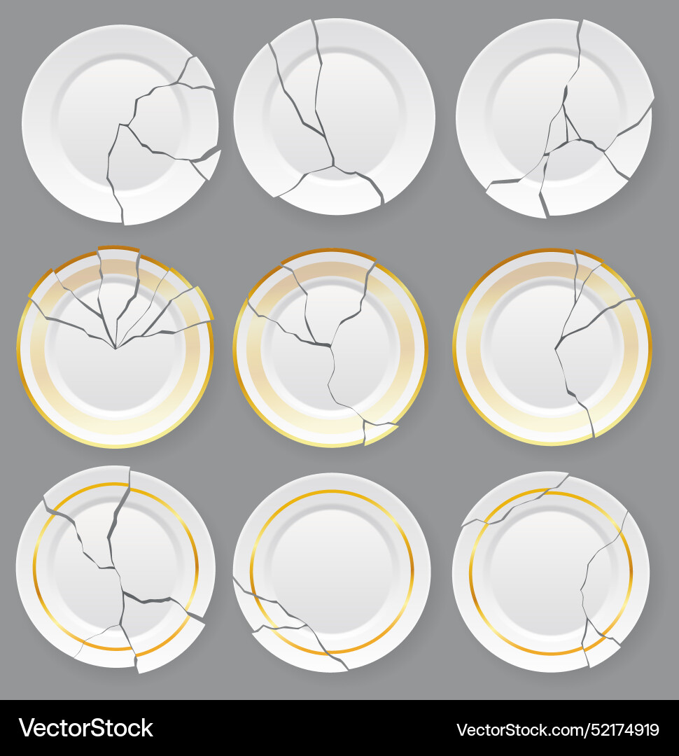 Broken white plates with varying degrees of damage