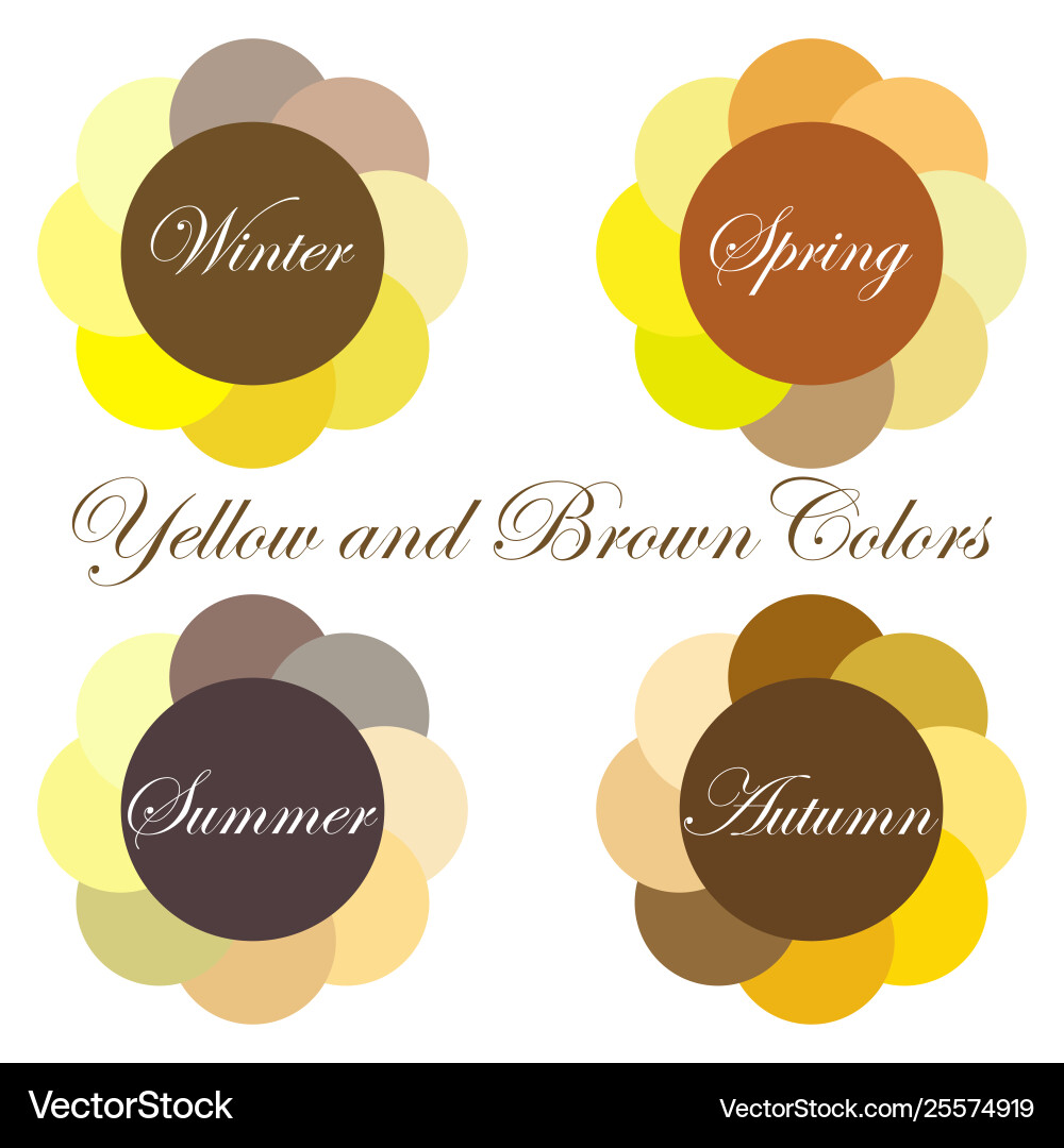 Seasonal color analysis palettes Royalty Free Vector Image