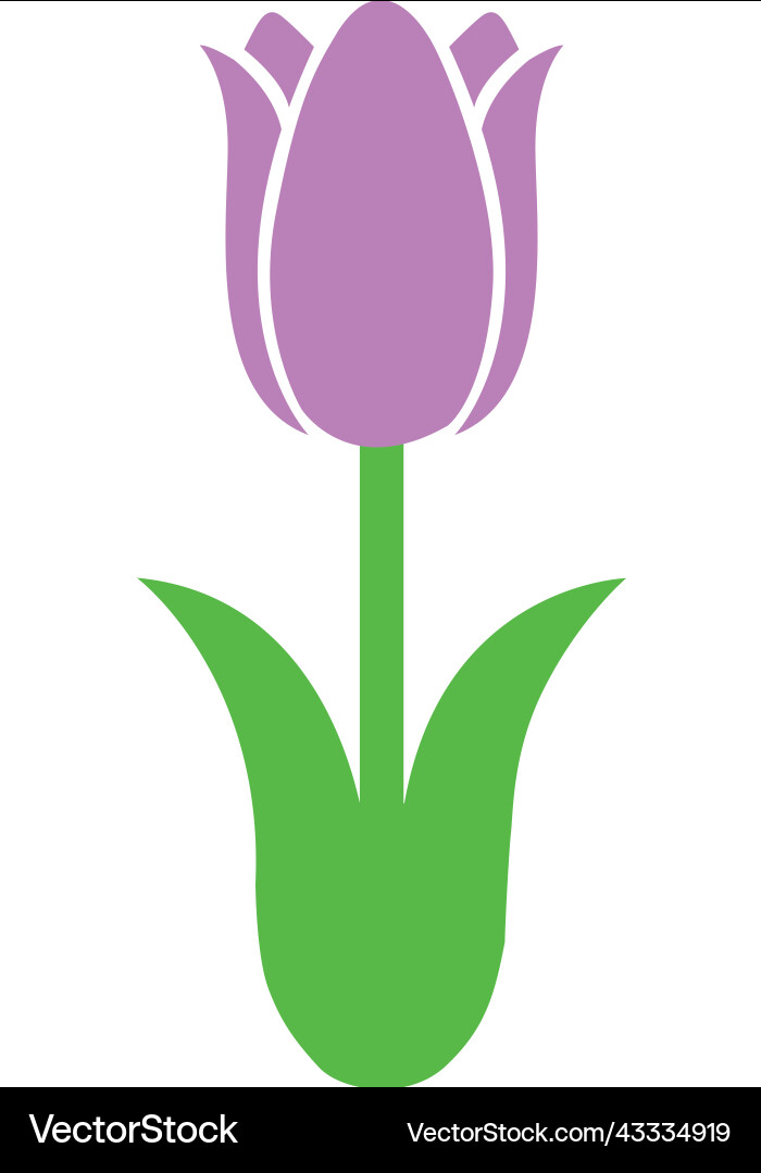 Tulip 1 Royalty Free Vector Image - VectorStock