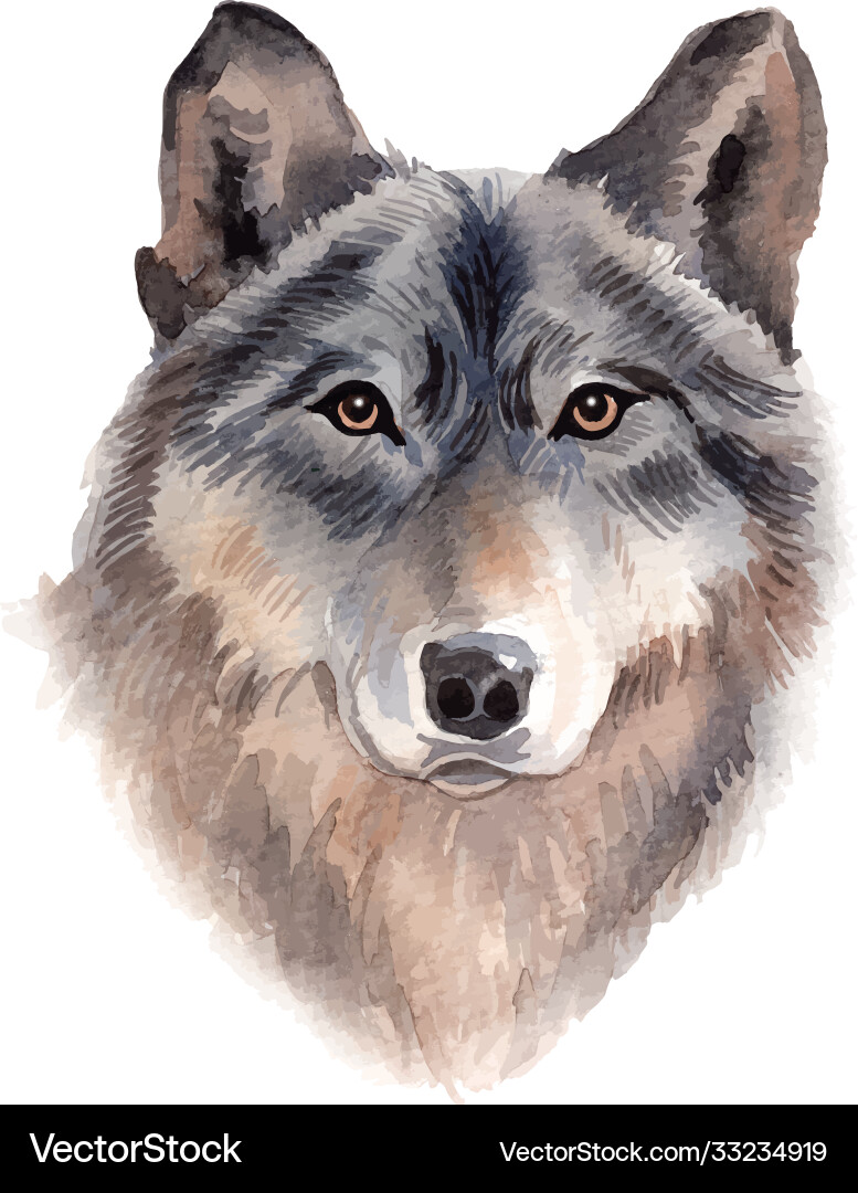 Watercolor hand painted wolf Royalty Free Vector Image
