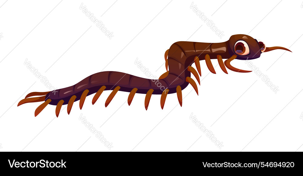 Cartoon funny centipede insect pest character Vector Image