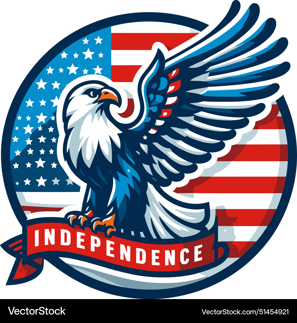 American eagle design with bald eagle like that Vector Image