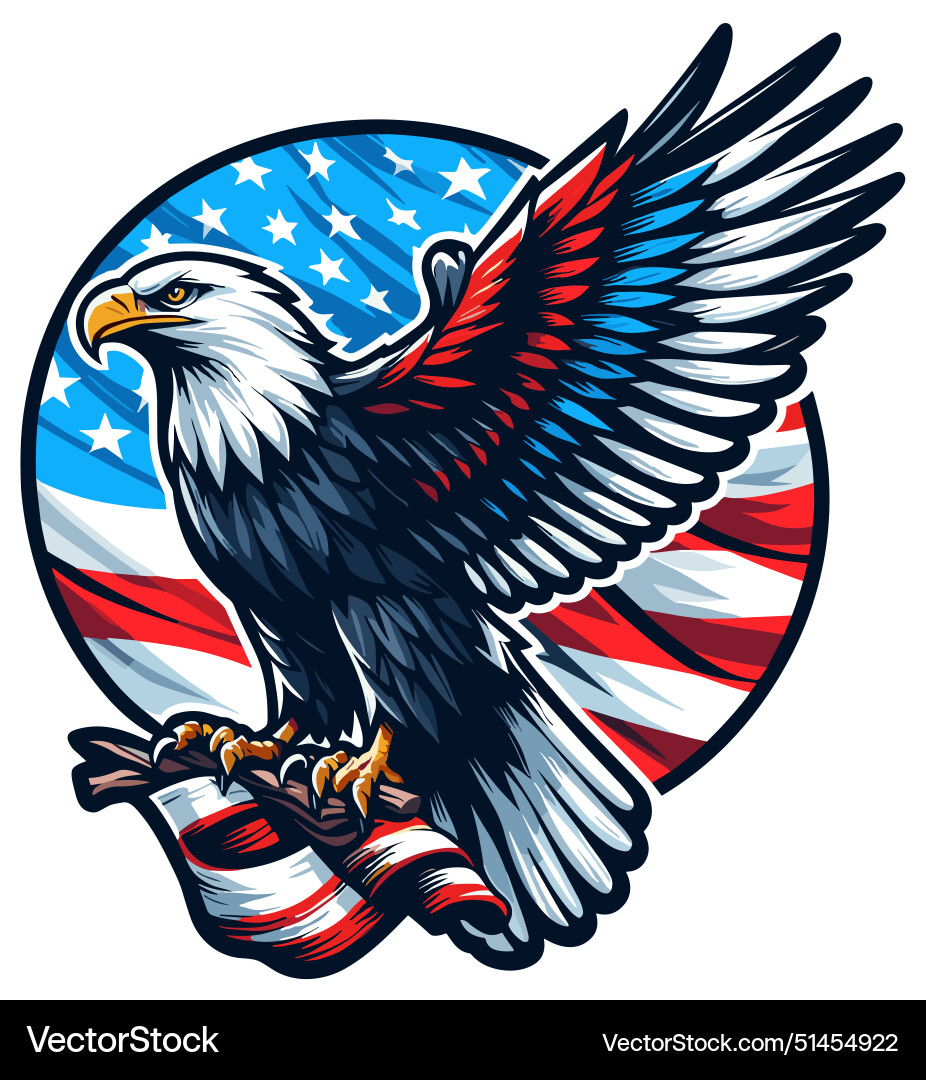 American eagle design with bald eagle like that Vector Image