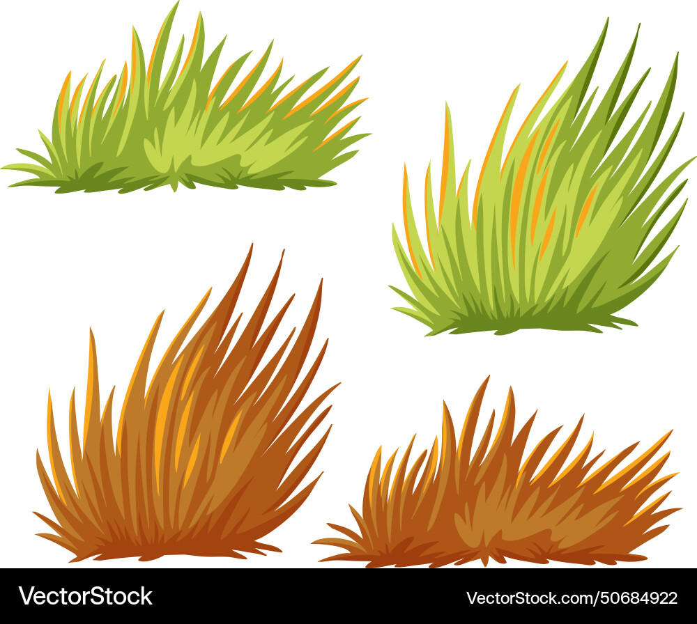 Four grass clumps representing different seasons Vector Image