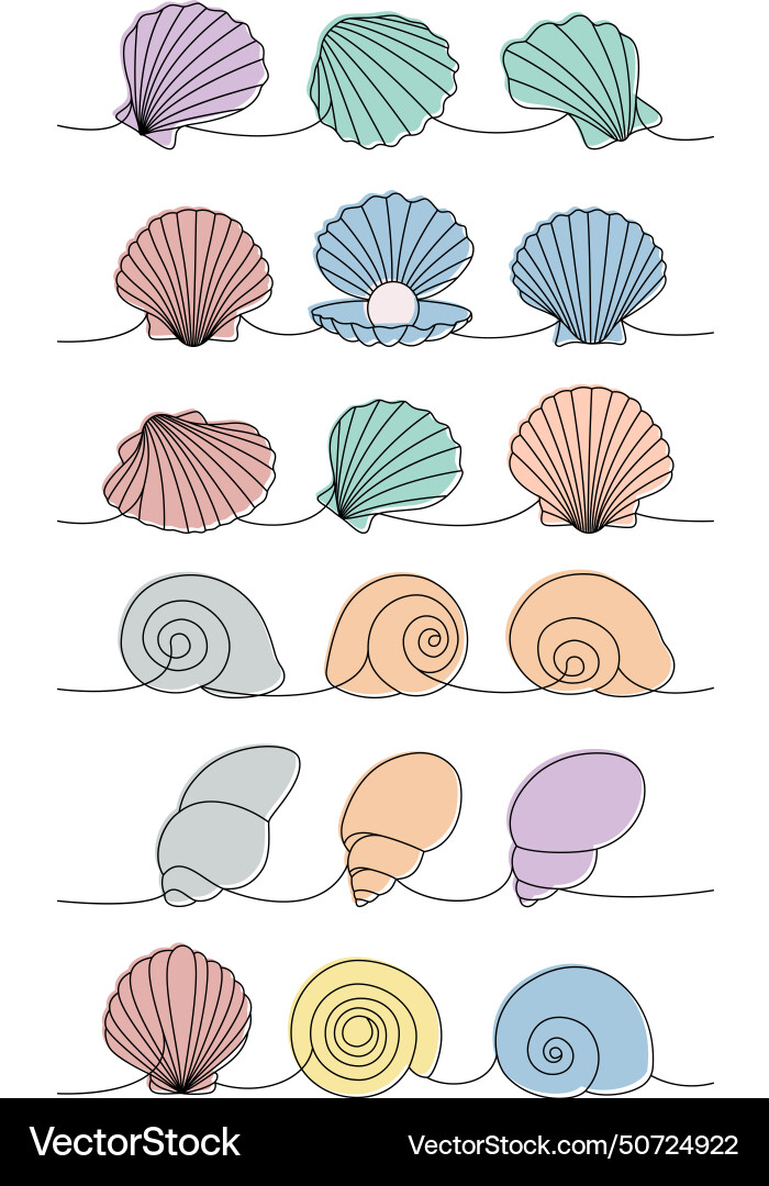 Mollusks set sea shells scallop Royalty Free Vector Image