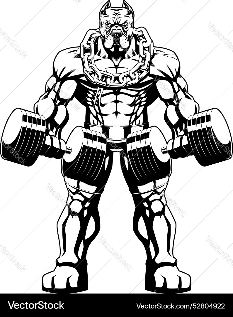 Outlined muscular pitbull bodybuilder Royalty Free Vector