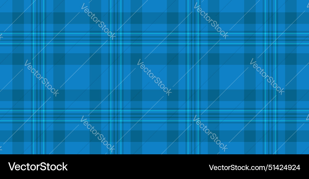 50s check texture down pattern tartan textile Vector Image
