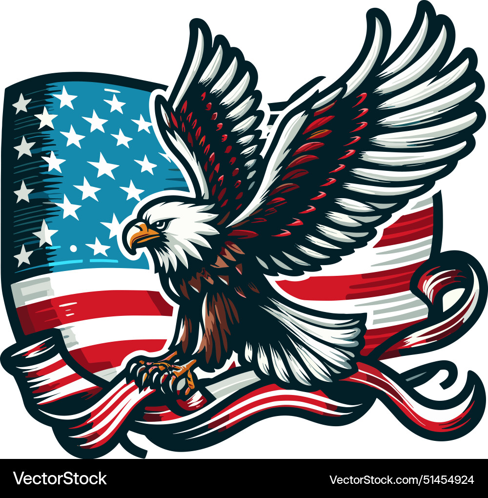 American eagle design with bald eagle like that Vector Image