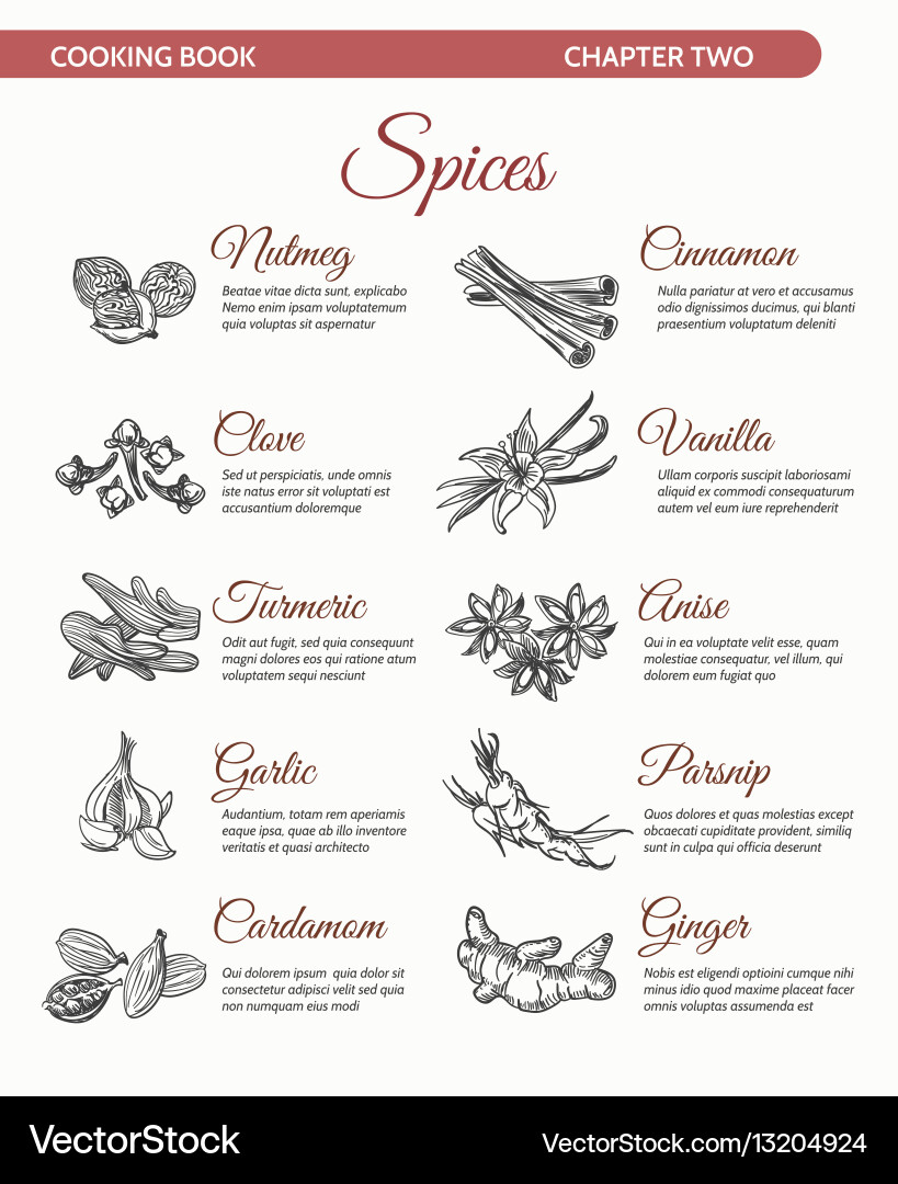 Cooking book spices ingredients page Royalty Free Vector