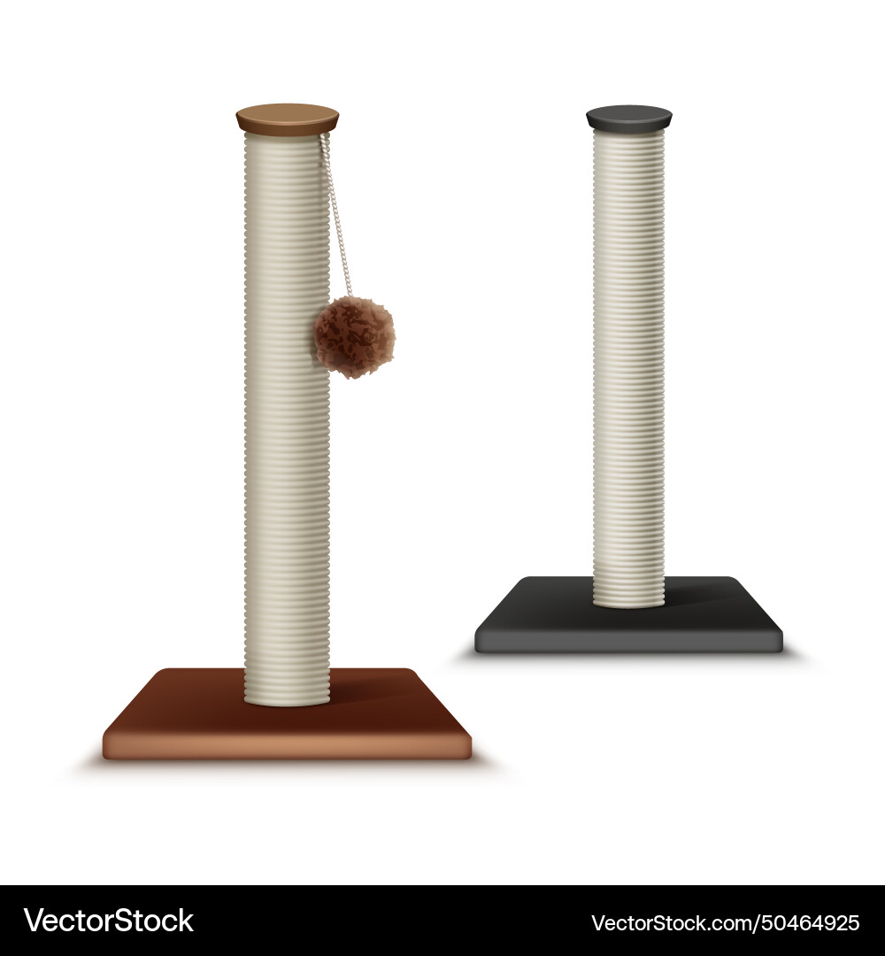 Cat scratching posts Royalty Free Vector Image