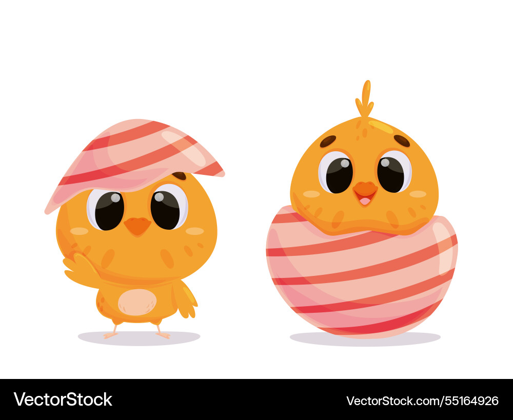Set of cute chick characters Royalty Free Vector Image
