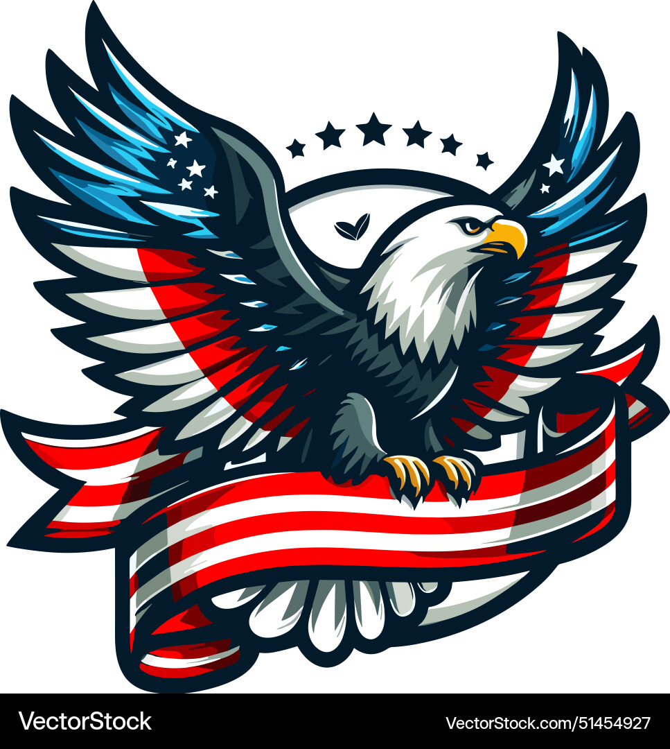 American eagle design with bald eagle like that Vector Image