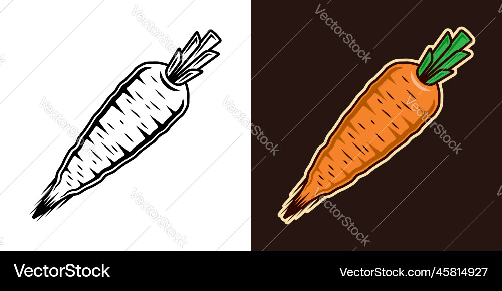 Carrot colored in two styles Royalty Free Vector Image