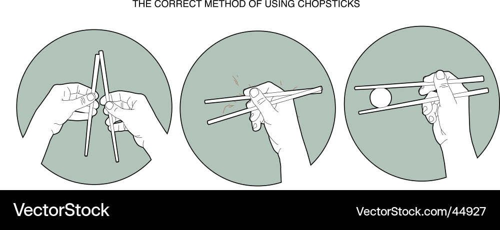 Chopsticks instructions Royalty Free Vector Image