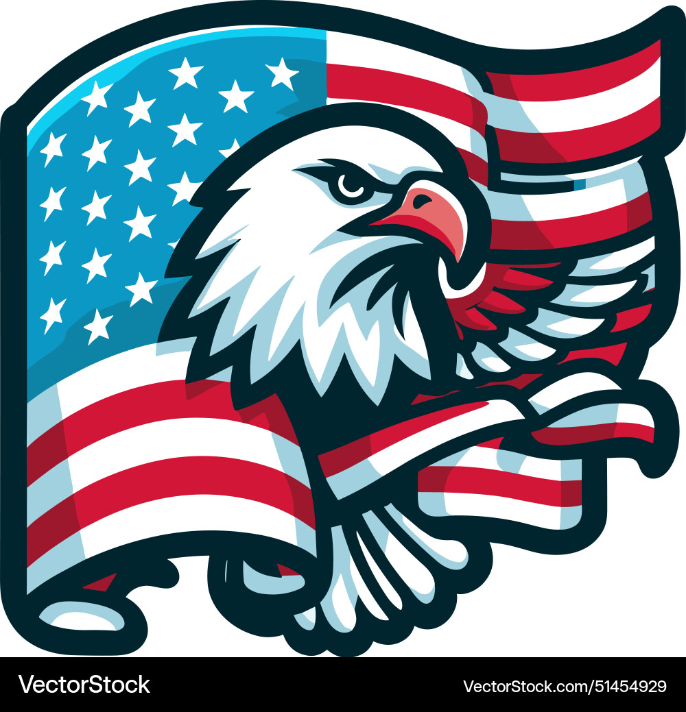 American eagle design with bald eagle like that Vector Image