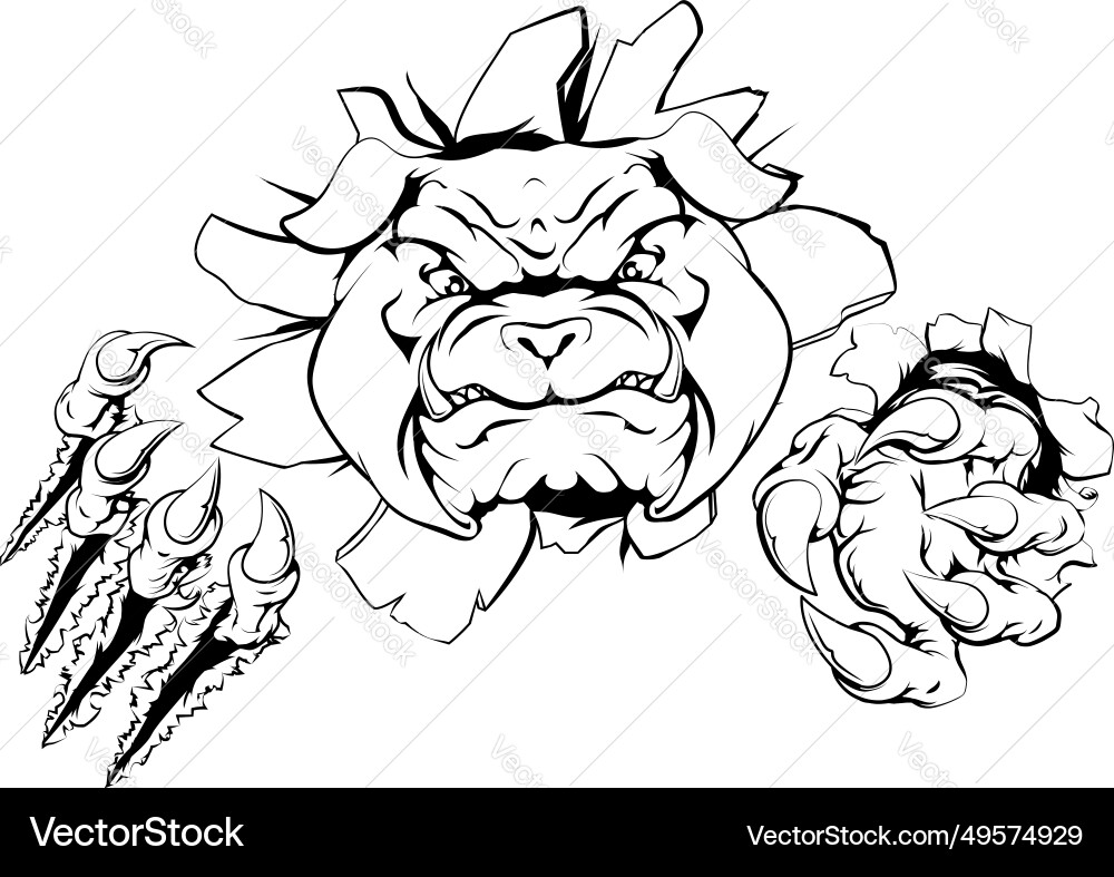 Bulldog ripping through background Royalty Free Vector Image