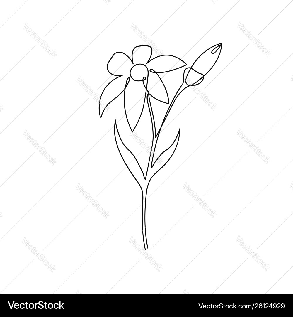 Continuous line lily flower one Royalty Free Vector Image