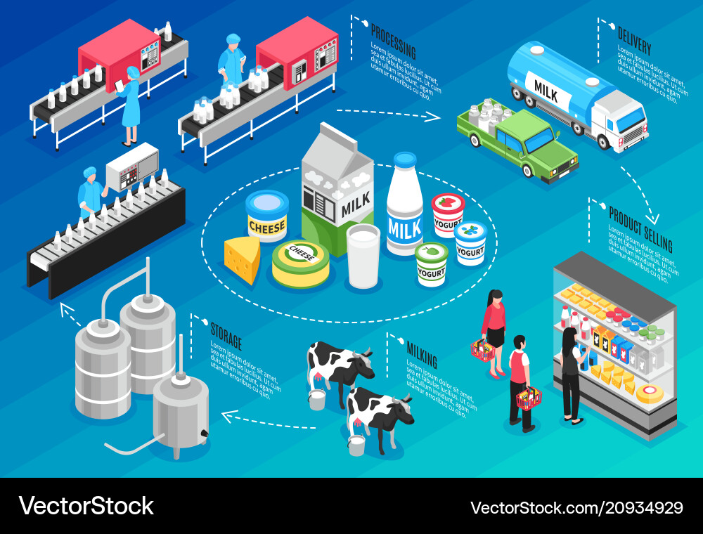 Milk production infographics Royalty Free Vector Image