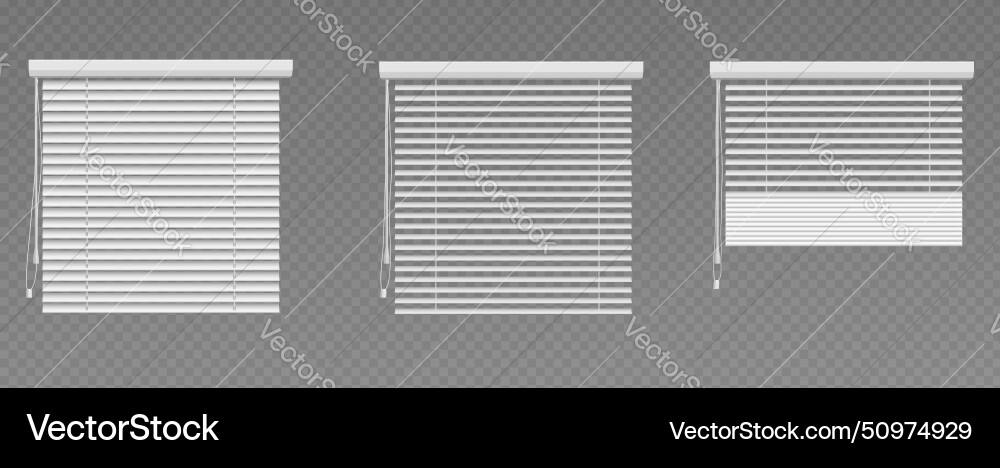 Venetian window curtain blind jalousie shutter Vector Image