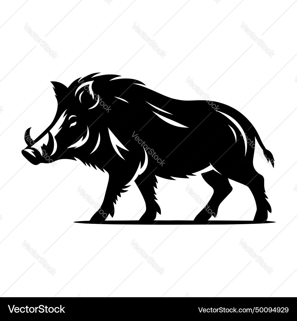 Boar Vector Images (over 11,000)