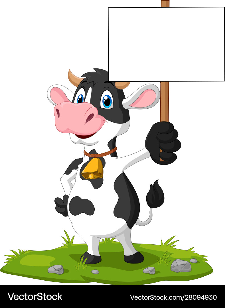 Cartoon funny cow holding blank sign Royalty Free Vector