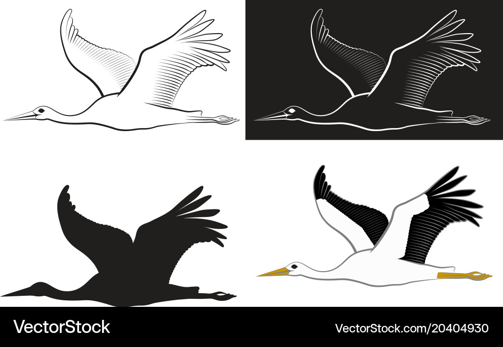 Stork Royalty Free Vector Image - VectorStock