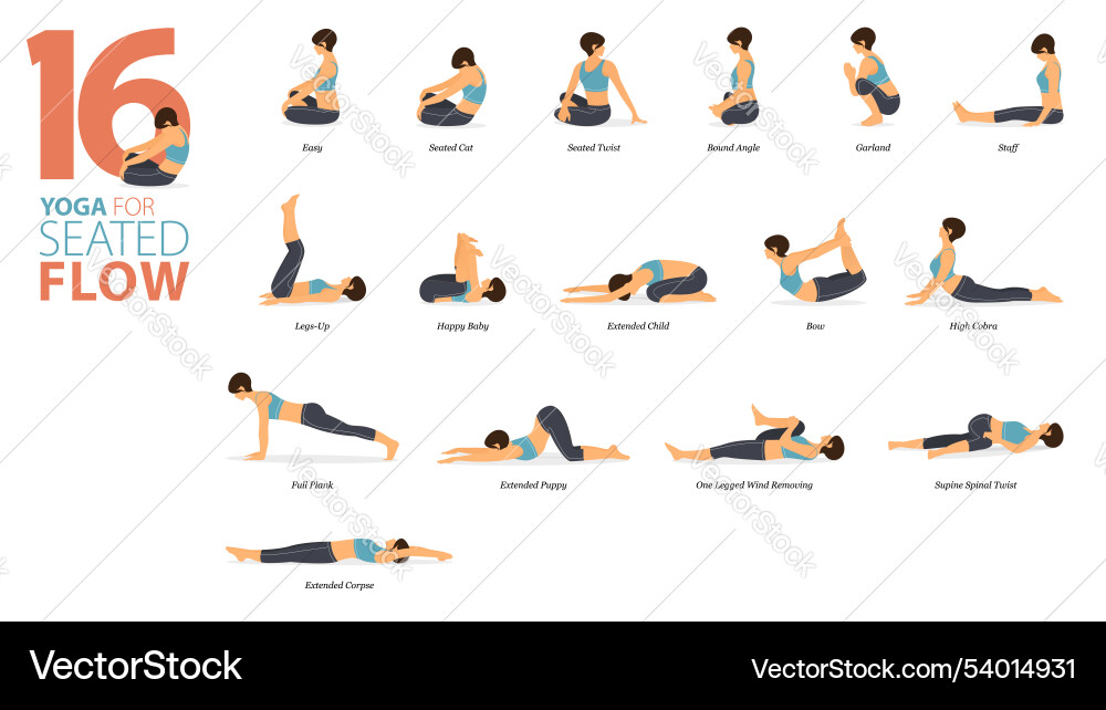 16 yoga pose for workout in seated flow concept Vector Image