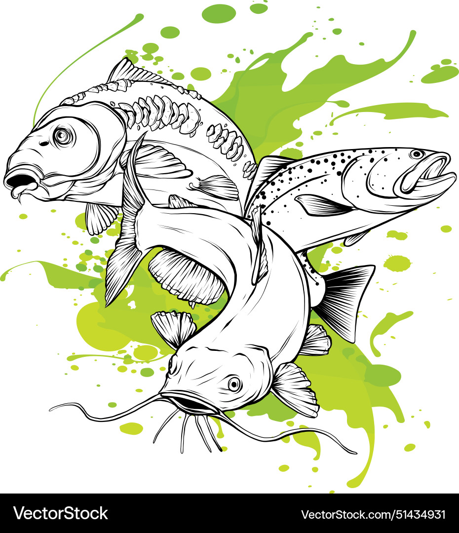 Cartoon of colored catfish Royalty Free Vector Image