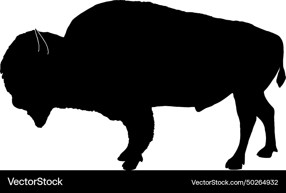 American bison silhouette Royalty Free Vector Image