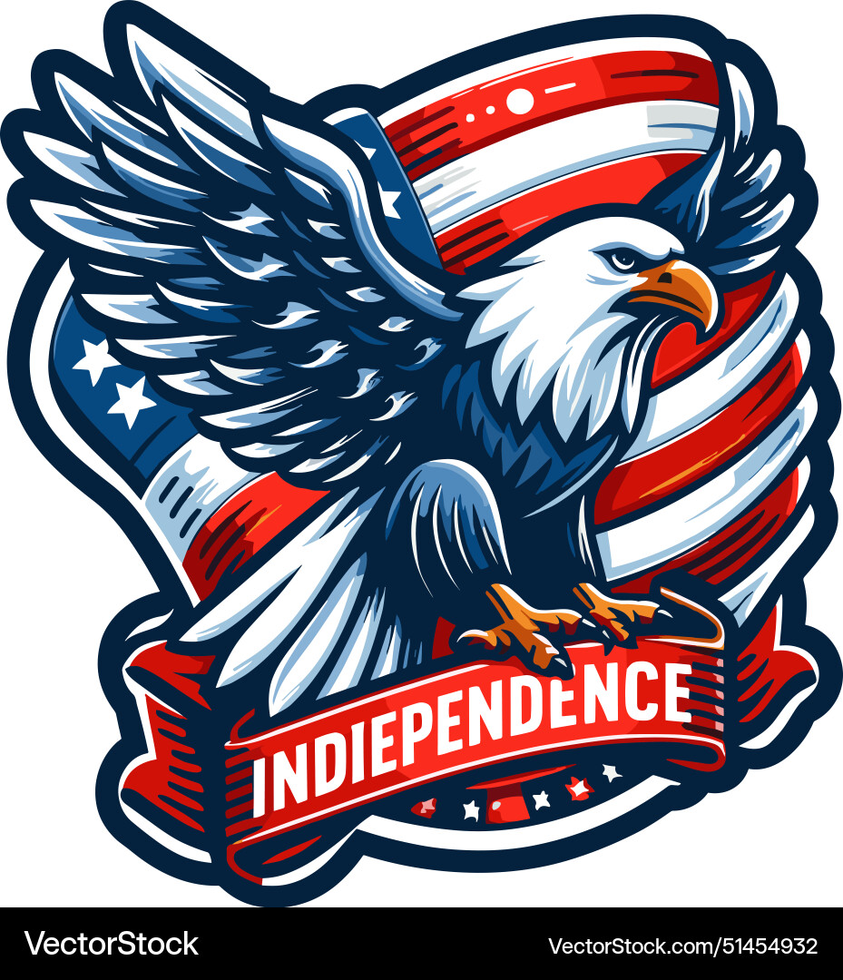 American eagle design with bald eagle like that Vector Image