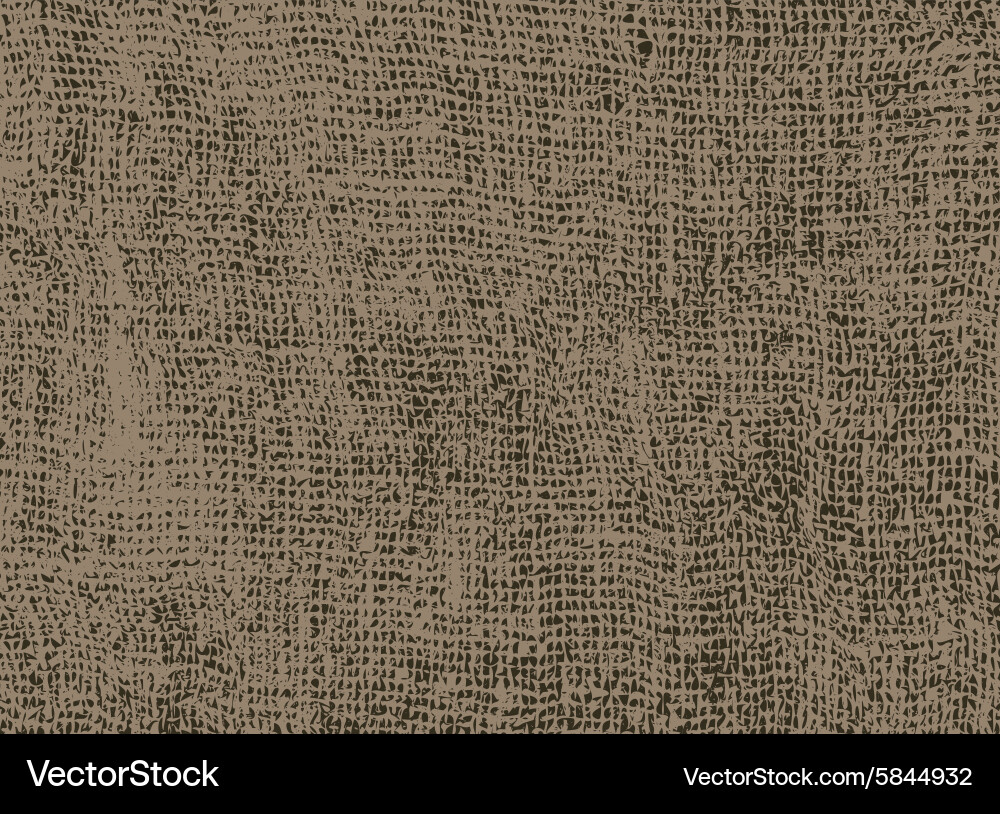 Rustic Sack Texture Royalty Free Vector Image - VectorStock