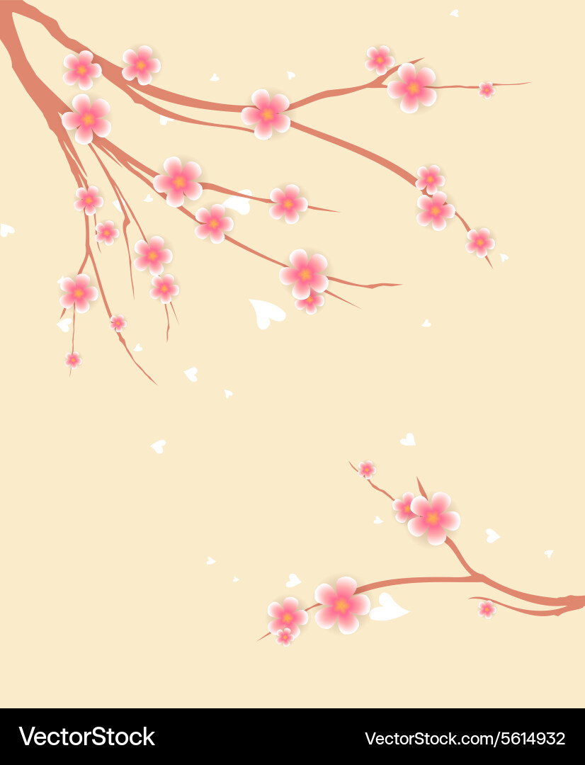 Sakura Royalty Free Vector Image - VectorStock