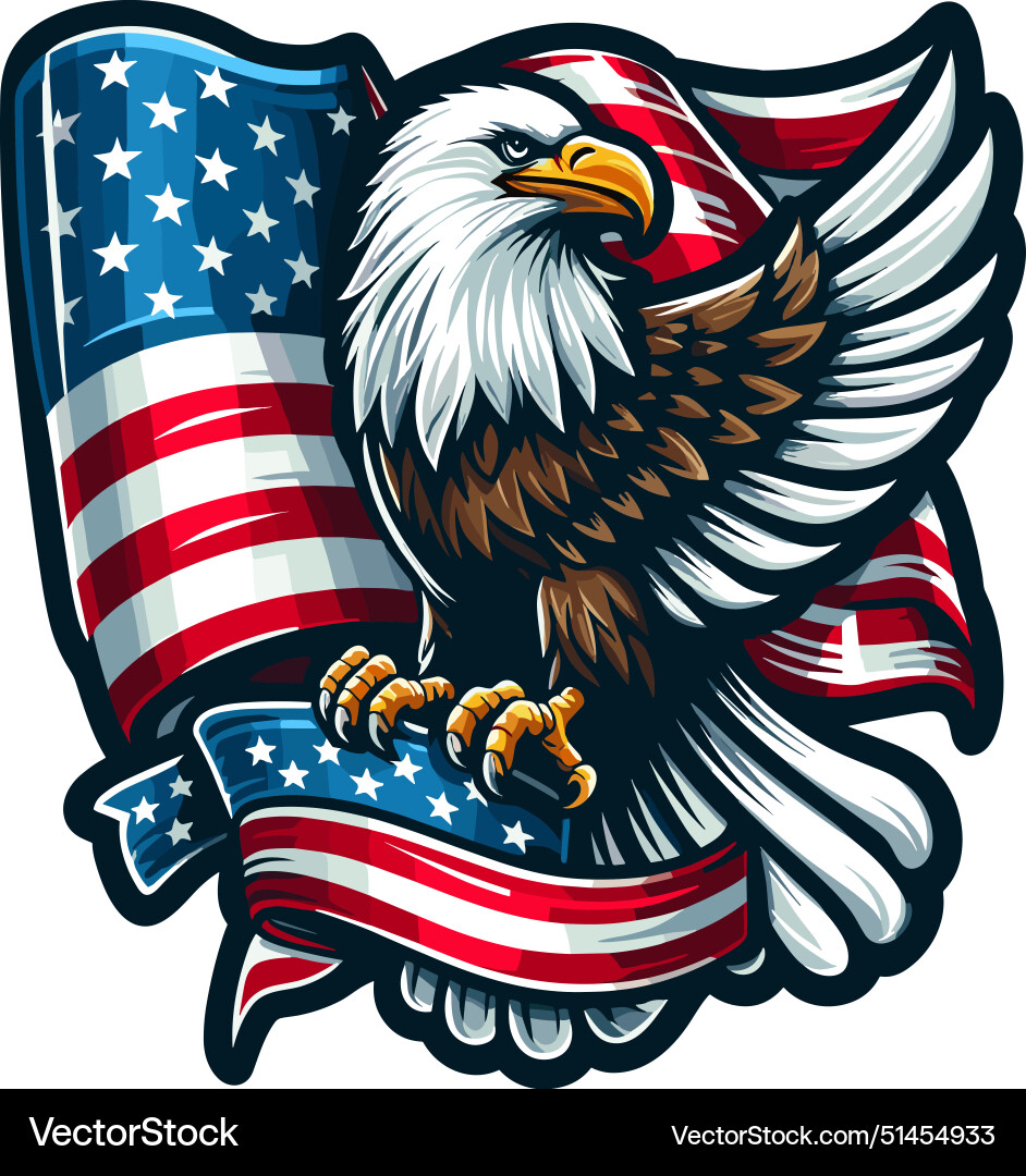 American eagle design with bald eagle like that Vector Image