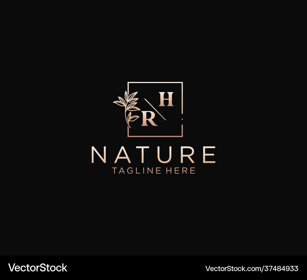 Initial hr letters beautiful floral feminine Vector Image