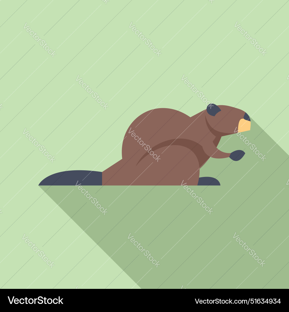 Canadian beaver standing on four legs Royalty Free Vector