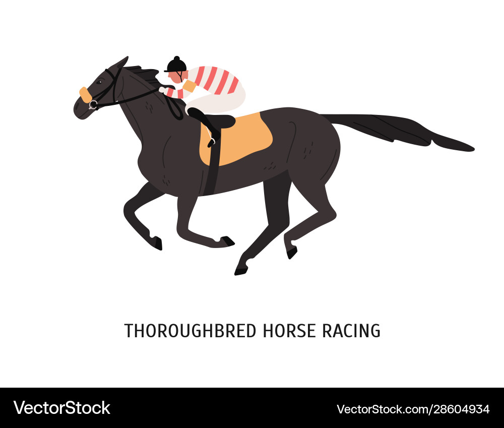 Thoroughbred horse racing flat Royalty Free Vector Image