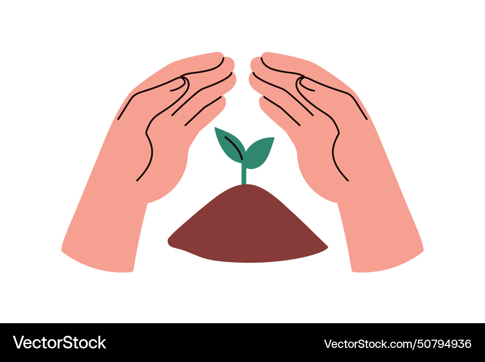 Leaf plant growing in earth ground hand caring Vector Image