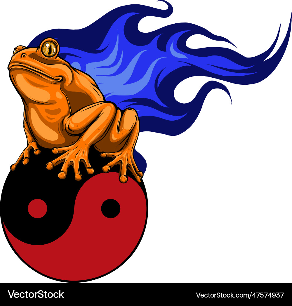 Colored draw of frog design Royalty Free Vector Image