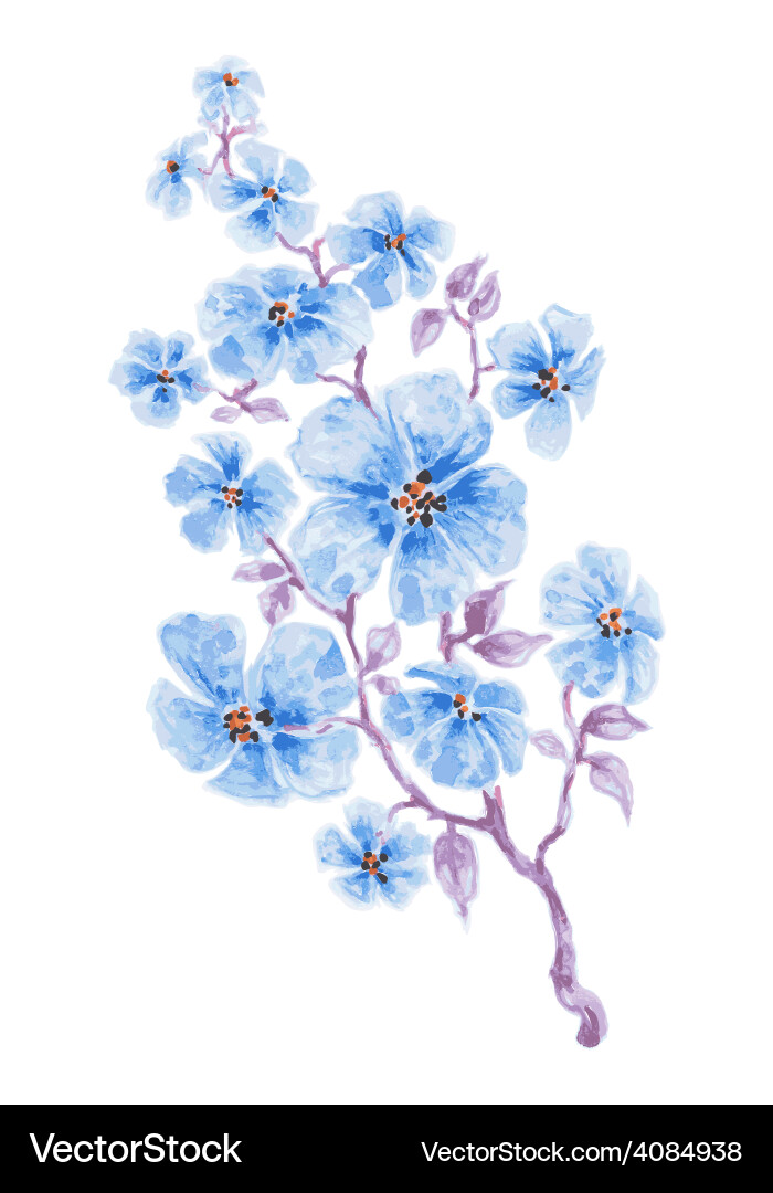 Blue flowers branch watercolor Royalty Free Vector Image