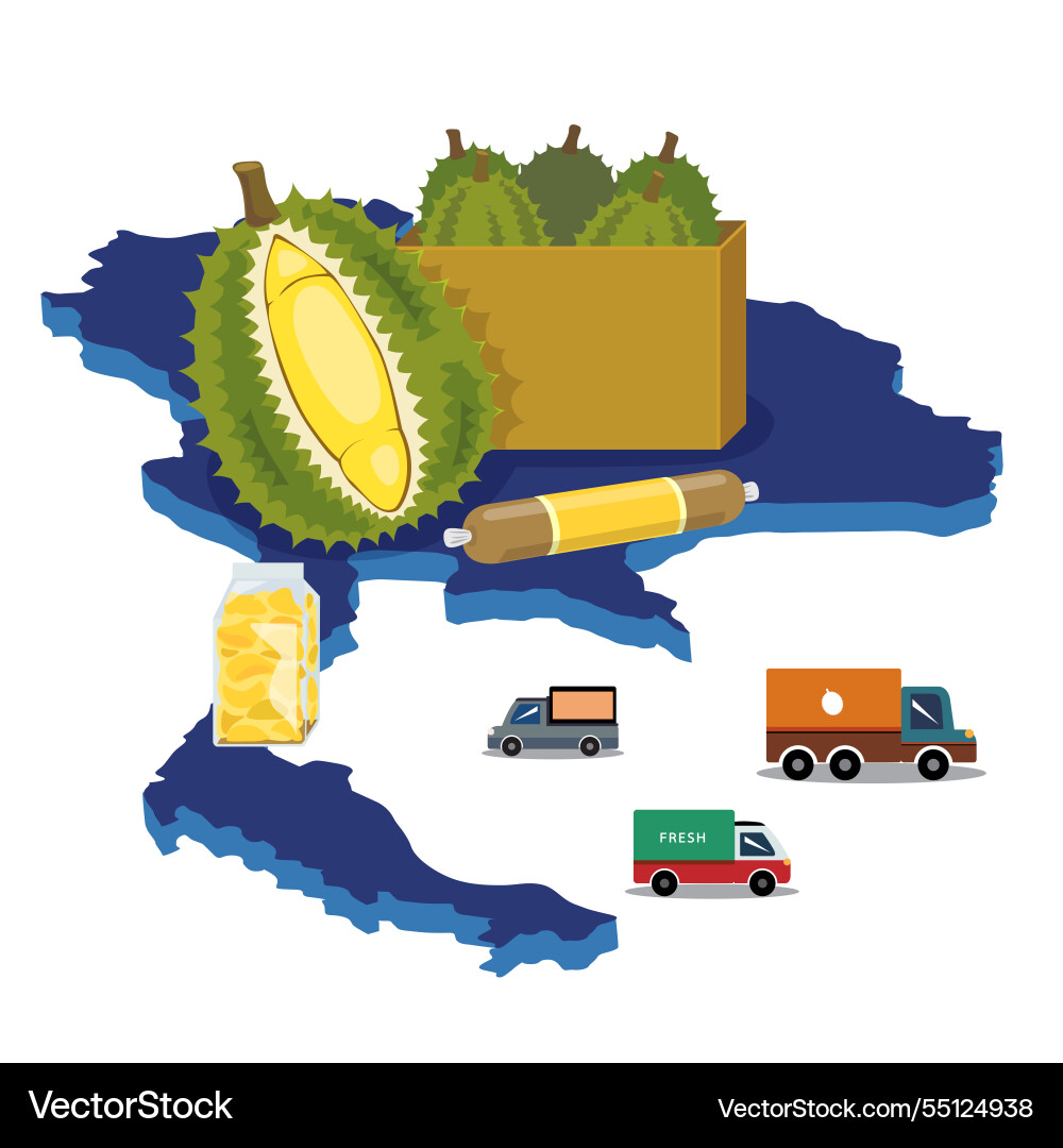 Durian fruit Royalty Free Vector Image - VectorStock