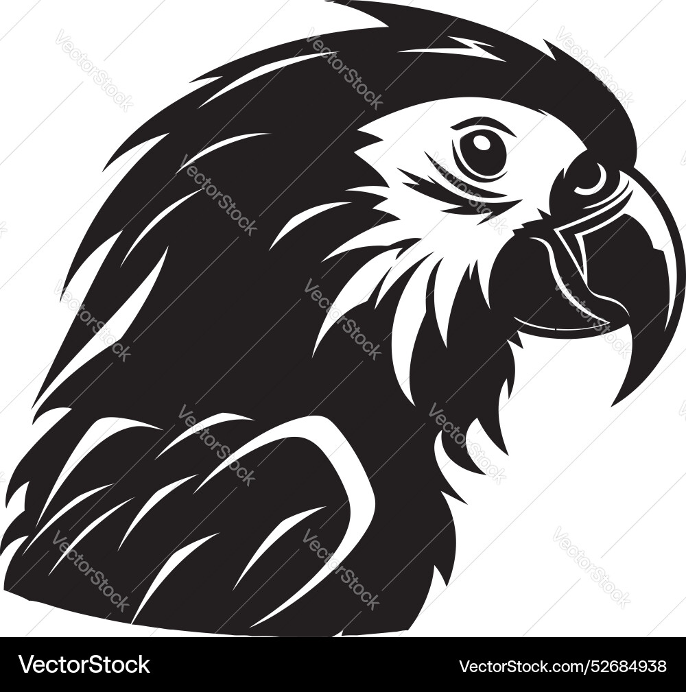 Ethereal essence intricate masquerade mask Vector Image